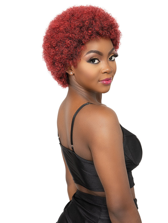 Janet Collection Natural Premium Synthetic Wig - AFRO CADY– Best Hair World