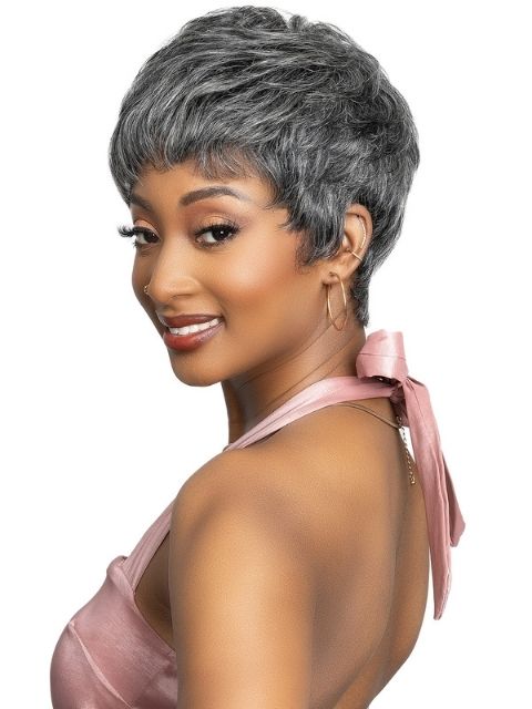 Janet Collection Lavish Silver 100% Virgin Human Hair Wig RAEL"– Best ...