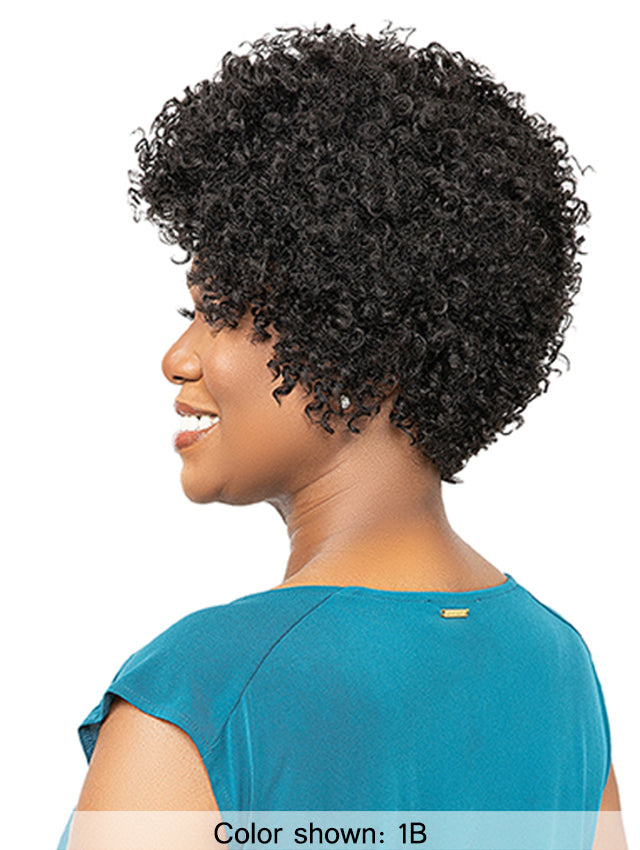 Femi Collection MS. Granny Collection 100% Premium fiber QUEENIE Wig ...