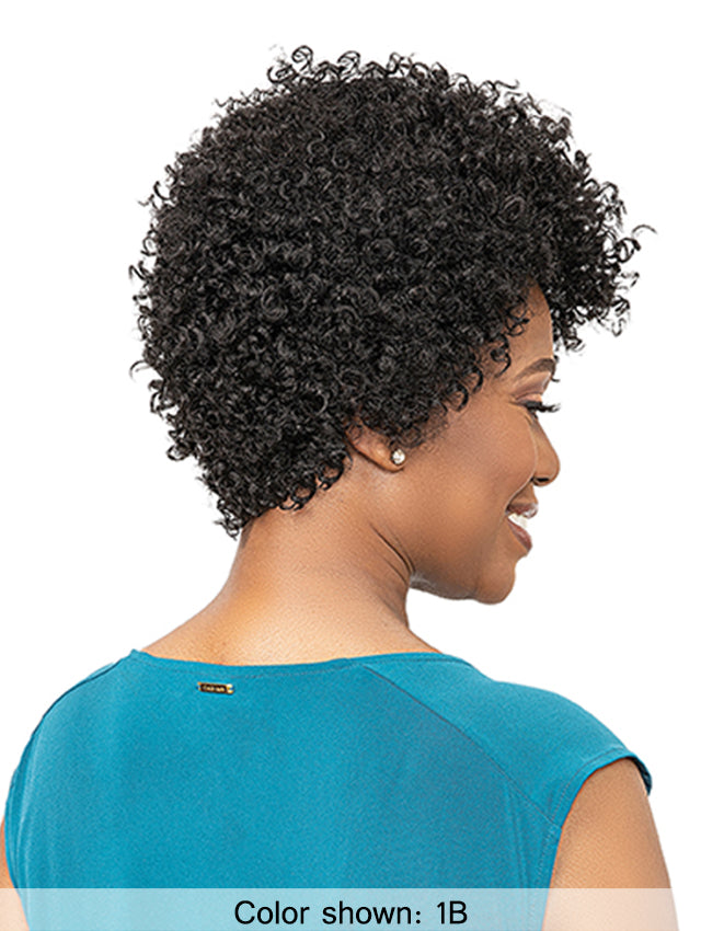 Femi Collection MS. Granny Collection 100% Premium fiber QUEENIE Wig ...