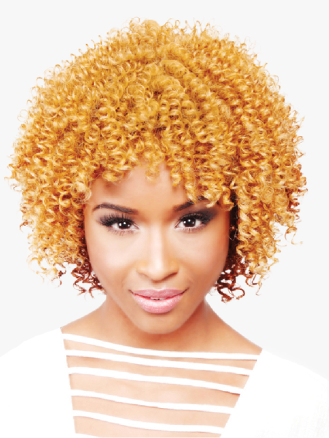 R&B Collection All Star Wivez Synthetic Full Wig - TWIST-STYLE– Best ...