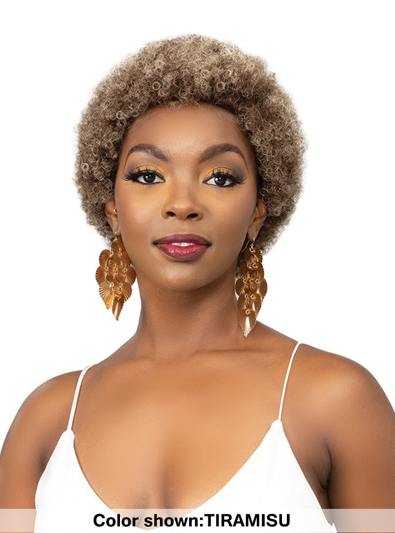 Janet Collection Premium Synthetic Natural Curly Wig - AFRO ABBO– Best ...