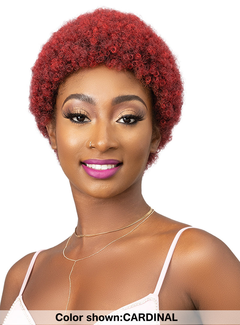 Janet Collection Premium Synthetic Natural Curly Wig - AFRO ABBO– Best ...