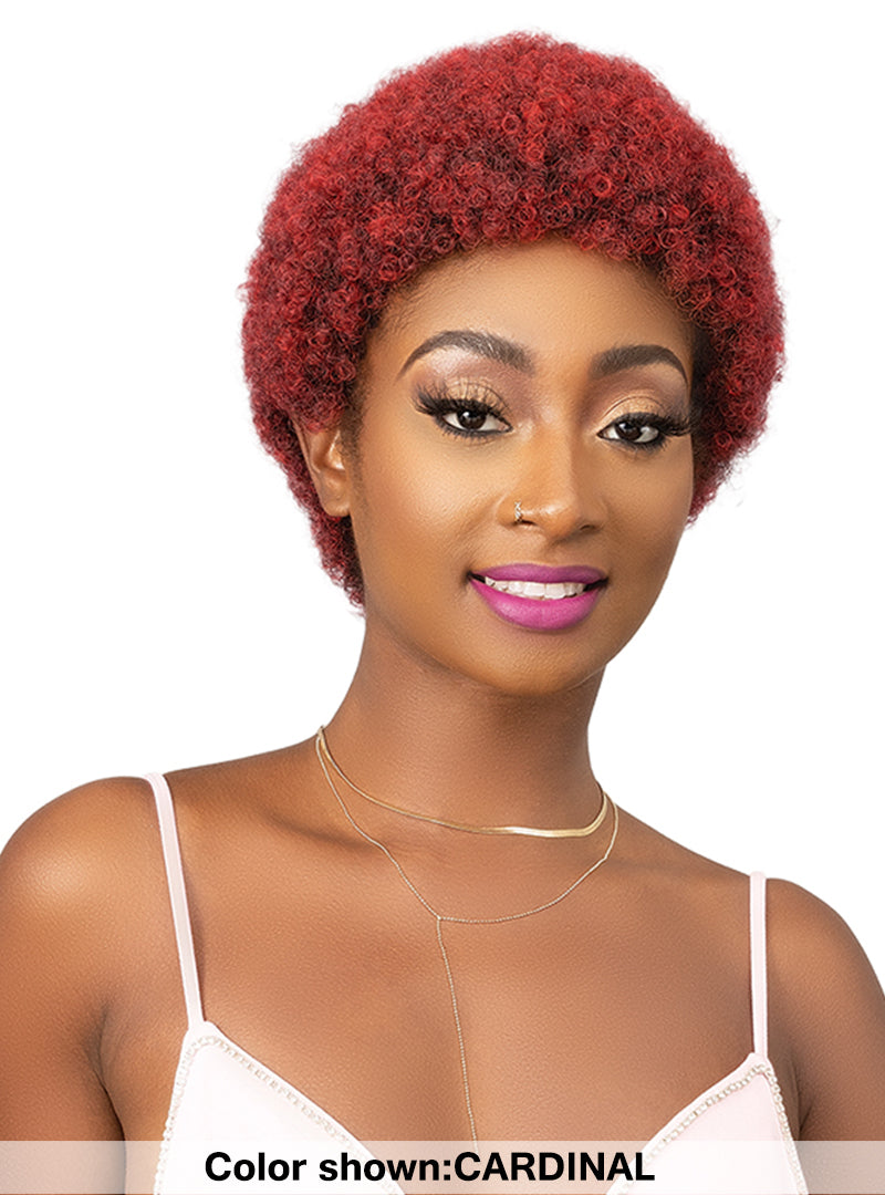 Janet Collection Premium Synthetic Natural Curly Wig - AFRO ABBO– Best ...