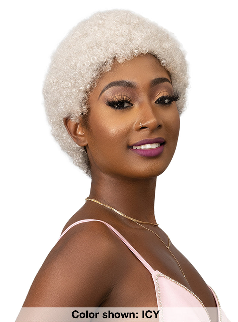 Janet Collection Premium Synthetic Natural Curly Wig - AFRO ABBO– Best ...